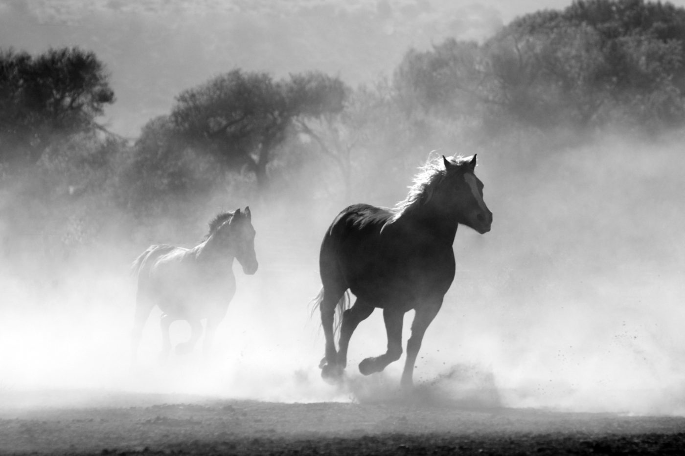 As It Turns Out Time Doesn t Heal All Wounds Natalie Mills San
